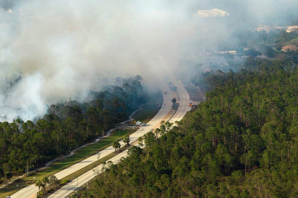 How Does a Fire Road Work? - Aussie Center